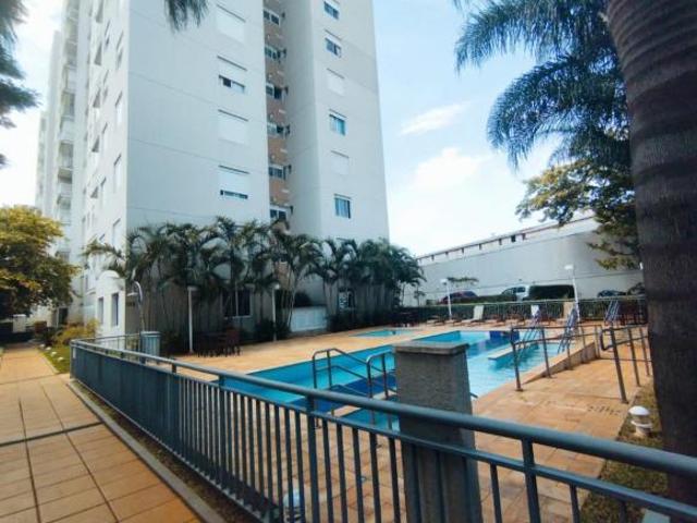 Excelente apartamento para venda em Belenzinho com 3 quartos, sendo 1 suíte, 60m²