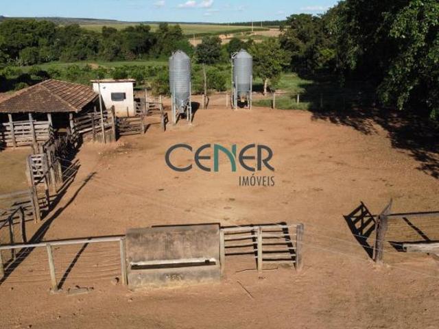Sensacional fazenda de 450 ha dupla aptidão ou até 750 ha
