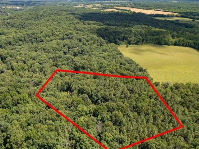 Senseny Rd, Berryville, Plot For Sale