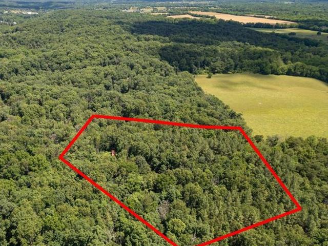 Senseny Rd, Berryville, VA 22611