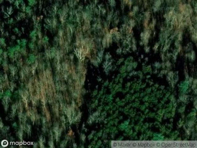 Seattle Rd
