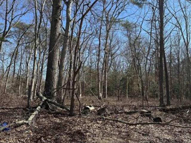 Seaview Ave, Millville, Plot For Sale
