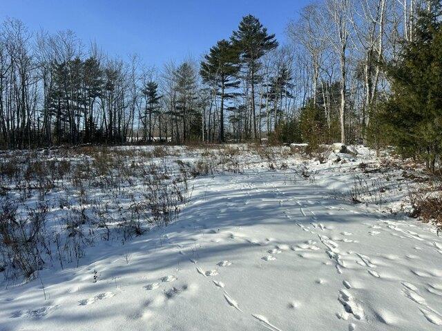 Sea Light Ln, Rockport, Plot For Sale