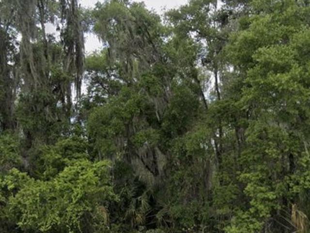 Seabiscuit Trl, Deland, FL 32720