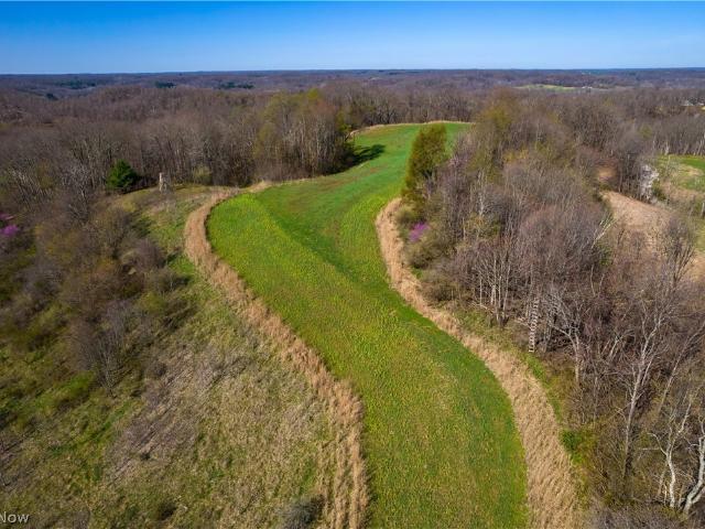 Sealover Hollow Rd Road