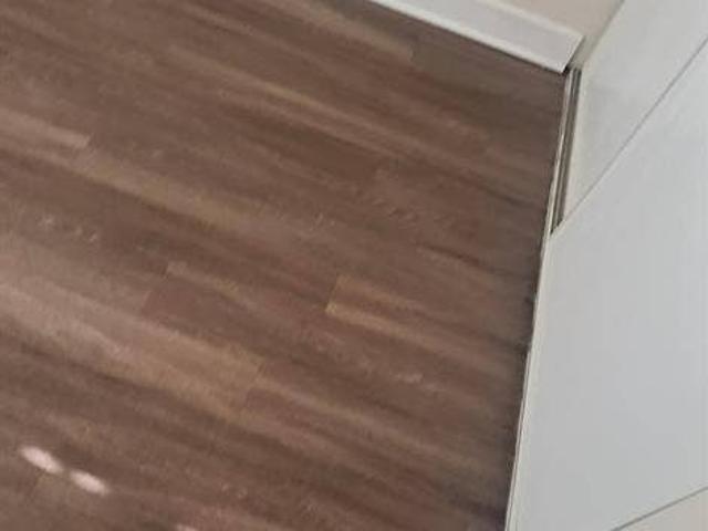 Searching for new roomie!