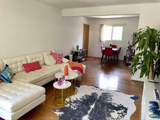 Searching for female roomate