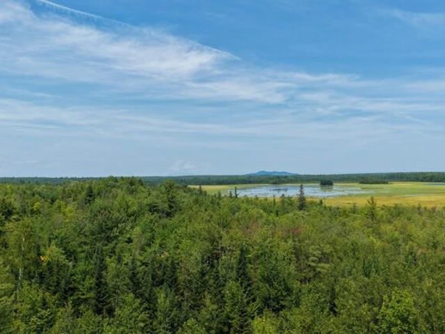 Seboeis Rd, Howland, Plot For Sale