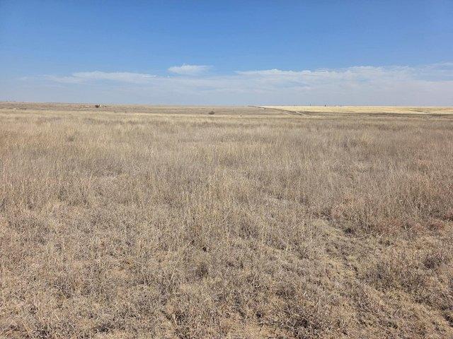 Sect 573 Blk # 43, Perryton, TX 79070