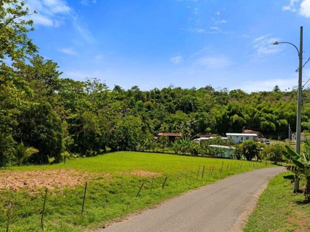 Sector Helin Soto Carr #,aguada, Plot For Sale