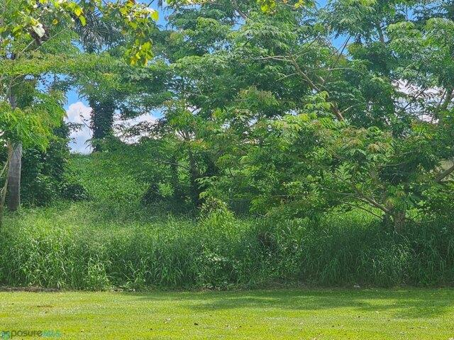 Sector Monte Grande, Cabo Rojo, Plot For Sale