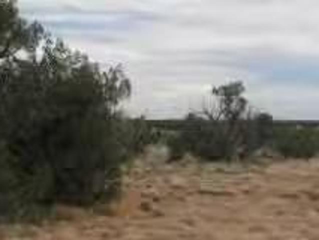 Sec 19 Sec 019 E & D, Heber, AZ 85928 MLS 251791