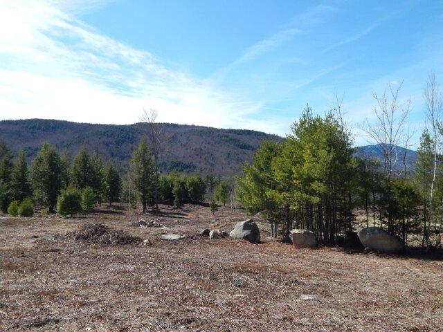 Second St Lot,bethel, Plot For Sale