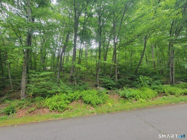 Secret Mountain Trl Lot,canton, Plot For Sale