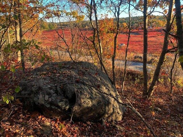 Sedgwick ME 04676 104790790