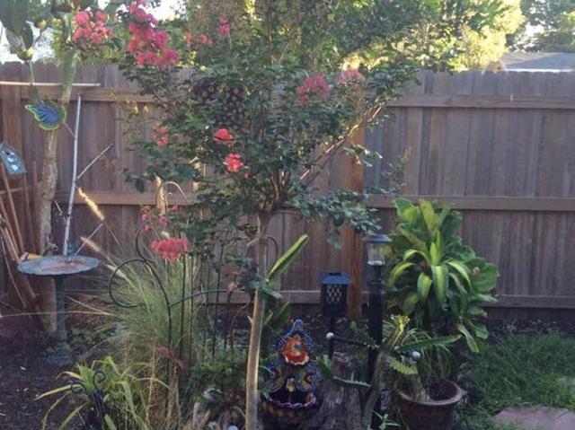 seeking Female Roommate