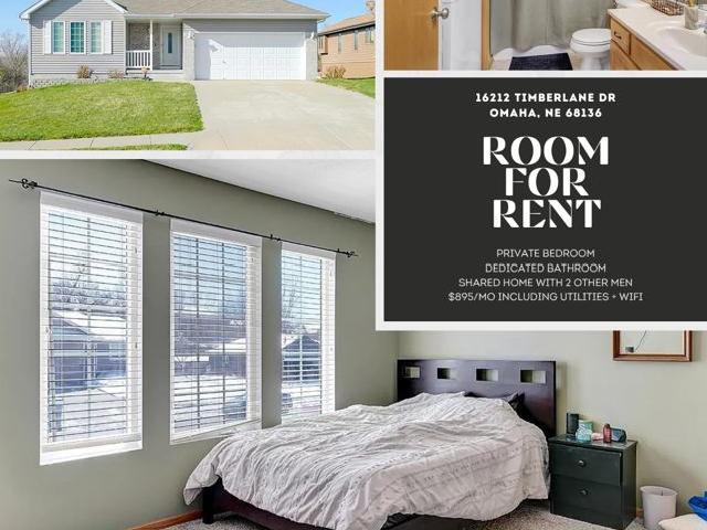 Seeking Housemates for Spacious Suburban House