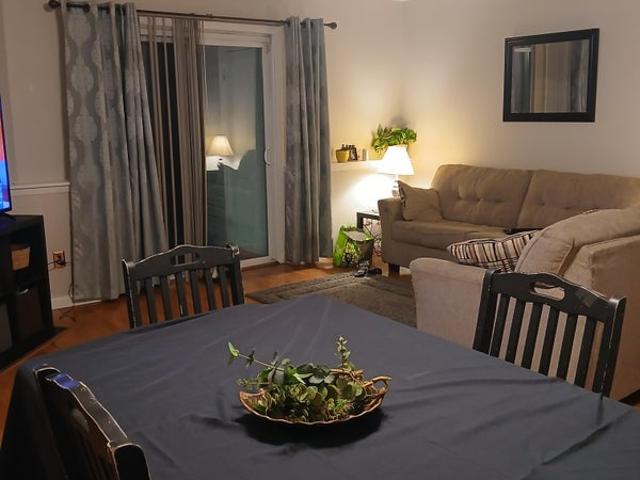 Seeking Quite professional single roommate