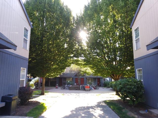 Seeking Roomate, Code: Chill Vibes