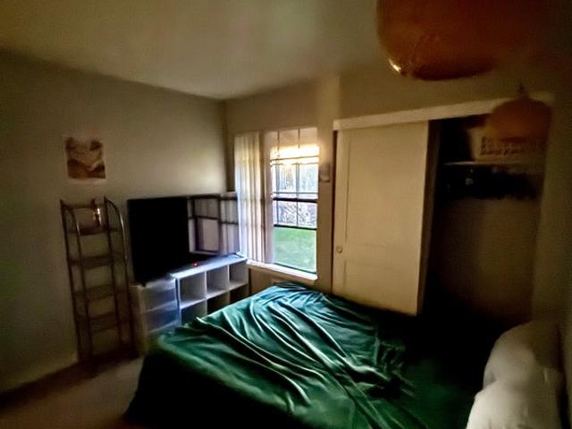 seeking roommate fully furnished apartment