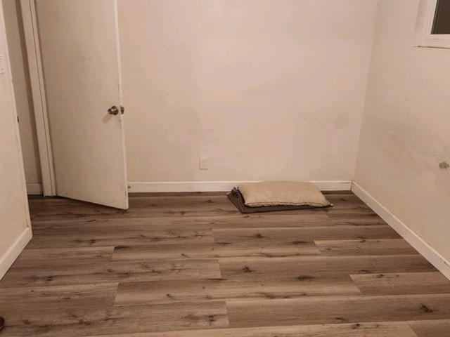 Seeking roommate