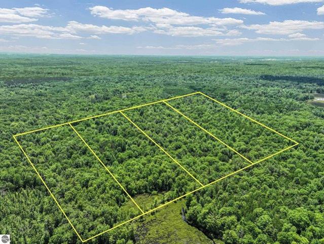 Seeley Rd Parcel C, Lake City, MI 49651