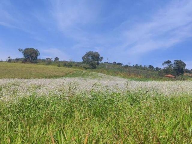 Segurança e Tranquilidade: Terreno em Ibiúna