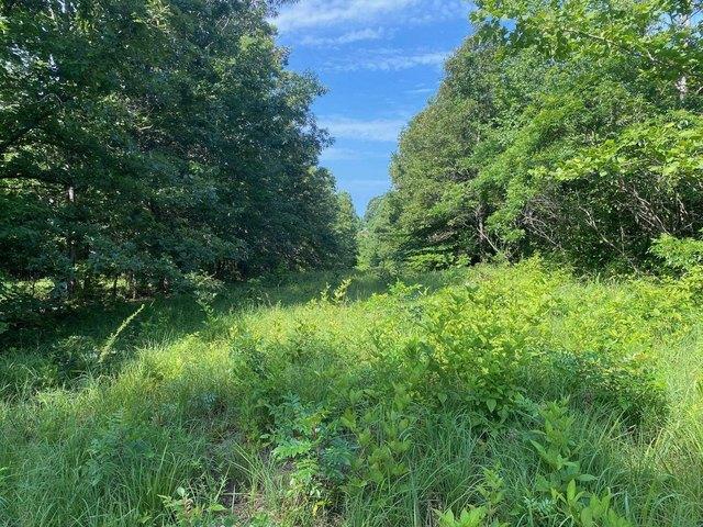 Sel Brooks Ln, Bethel Springs, TN 38315