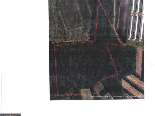 Selbyville, DE 19945