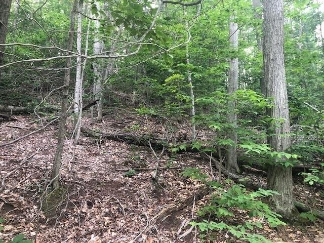 Seldon Rd, Petoskey, MI 49770