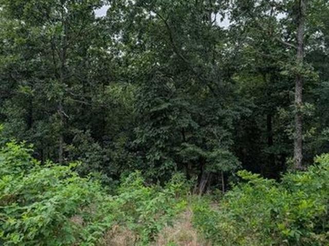 Selkirk Dr Lot 5, Bella Vista, AR 72715