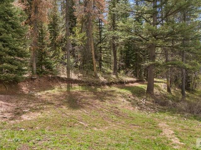 Sellers Creek Rd, Firth, ID 83236