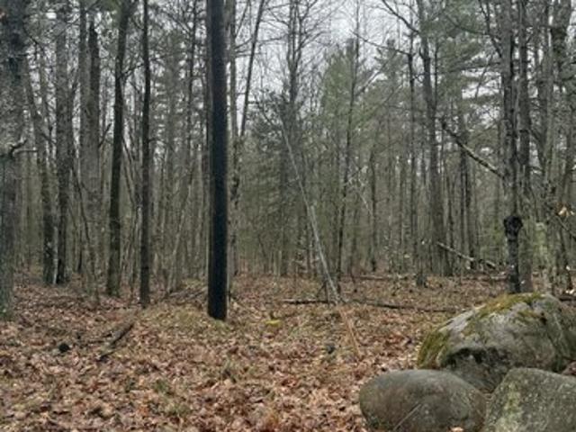 Sequoia Mountain Ln, Jay, NY 12941