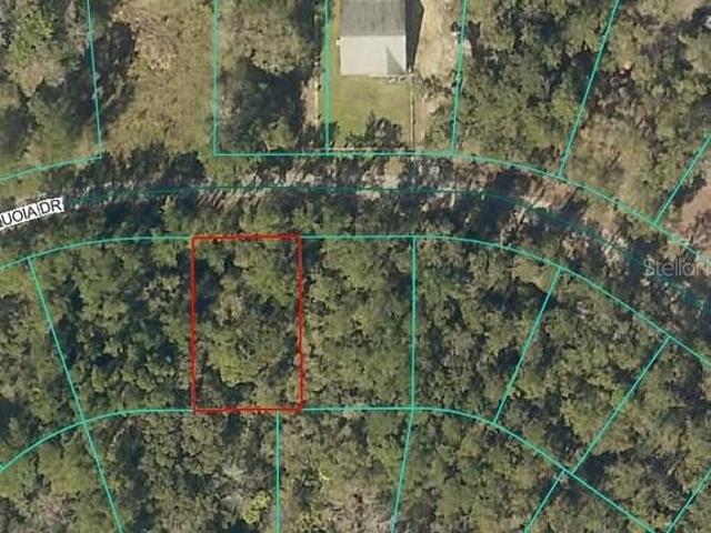Sequoia Dr, Ocklawaha, FL 32179