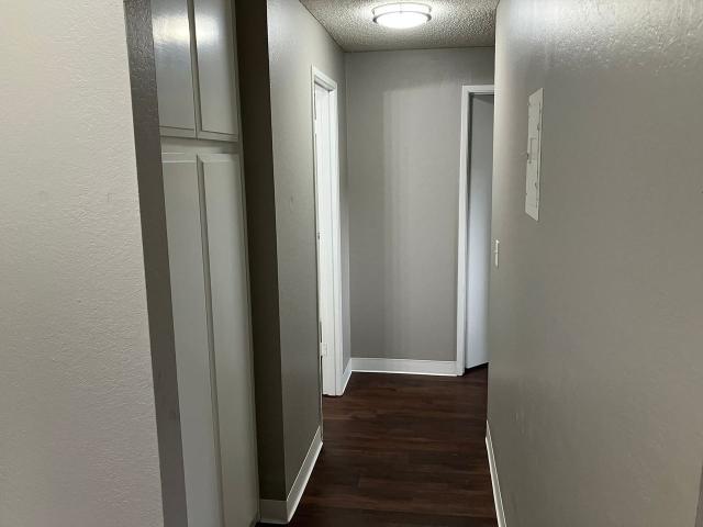 Sequoia Grove Apartments 1 Bedroom Apartment for Rent at 13001 Se 28th Pl, Bellevue, WA 98005 Woodbridge
