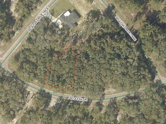 Sequoia Loop Dr, Ocklawaha, FL 32179