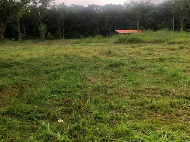 SERTÃO DA QUINA PROXIMO À SABESP A 1.400 METROS DA P
