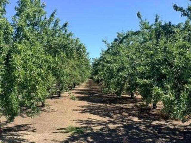 Service Rd, Ceres, CA 95307