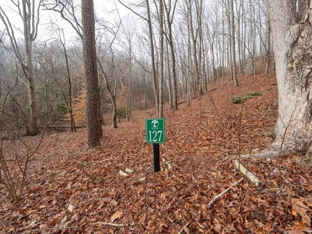 Serene Pond Trl Lot 127, Murphy, NC 28906