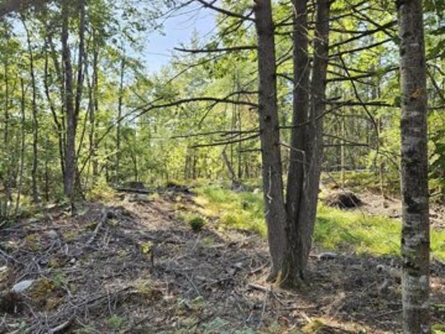 Serenity Ln Lot A, Oxford, Plot For Sale
