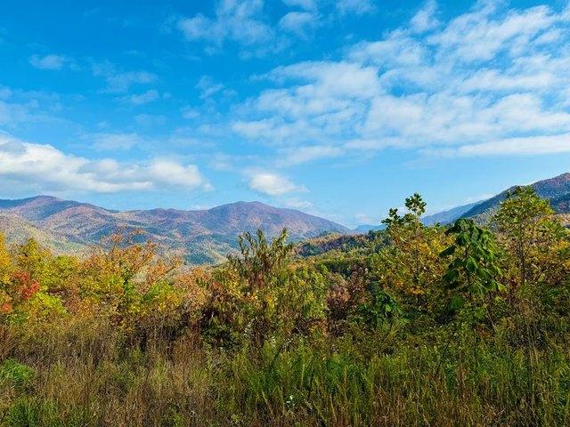 Serenity Ridge Trl Lot 7, Andrews, NC 28901
