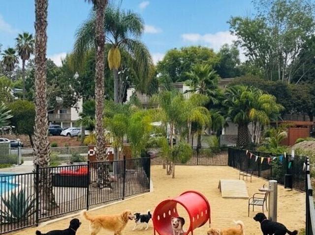 Serra 9Hundred 1 Bedroom Apartment for Rent at 900 Phillips St, Vista, CA 92083 Vista