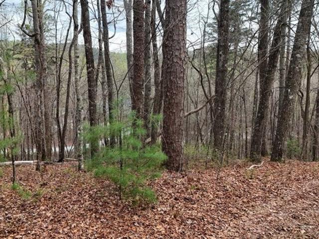 Settlement Ln Lot 8, Tiger, GA 30576