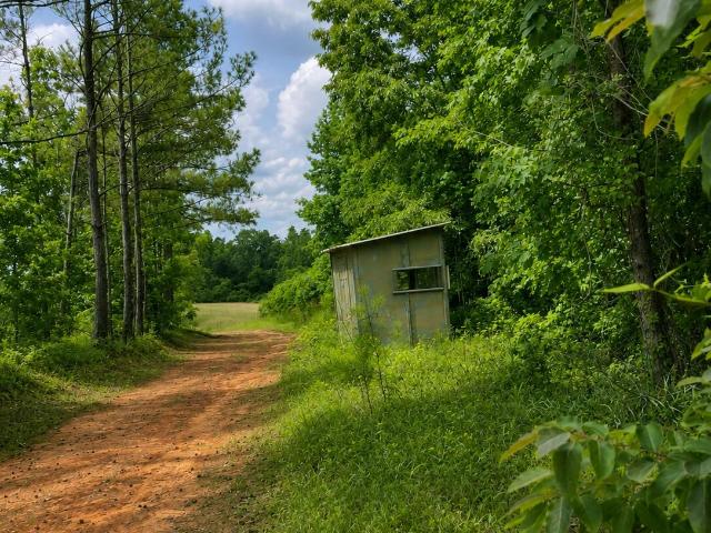 Settlement Road, Detroit, AL 35552