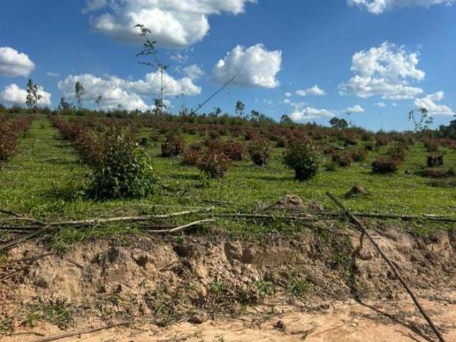 Seu Projeto de Vida Começa em um Terreno de 1.000m²