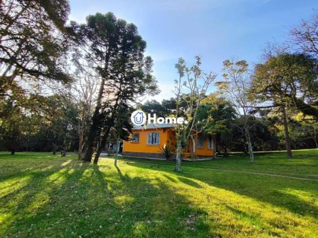 Seu refúgio na zona sul! Chácara incrível em Belém Velho – 1,5 hectare com casa
