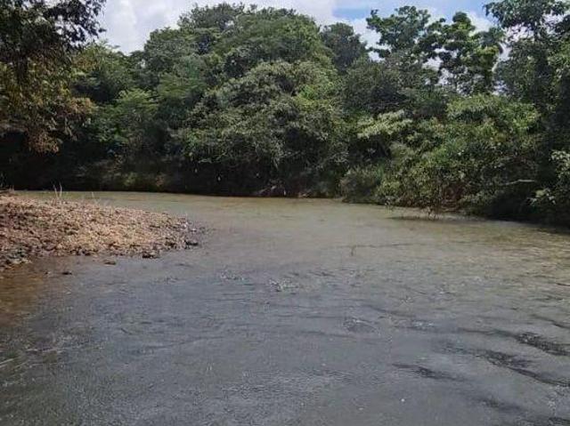 Seu Refúgio Rural em Buritis MG, RIO, POÇO, 100% FORMADA: Viva o Sonho da Fazenda Própria!