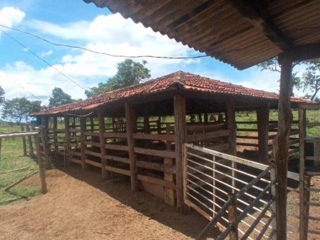 Seu Refúgio Rural em Buritis MG, RIO, POÇO, 100% FORMADA: Viva o Sonho da Fazenda Própria!
