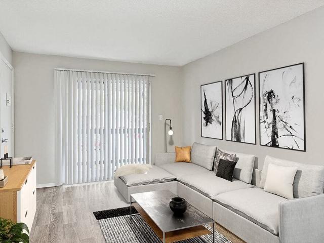 Seven Lakes at Carrollwood Studio Apartment for Rent at 3303 N Lakeview Dr, Tampa, FL 33618