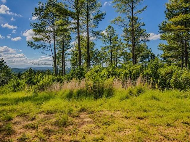 Seven Mile Creek Rd Lot 62, Talking Rock, GA 30175
